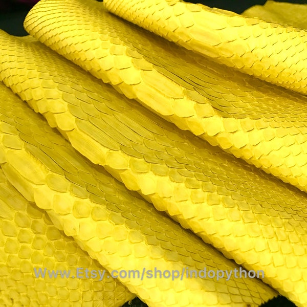 Yellow Snake Skin - Etsy
