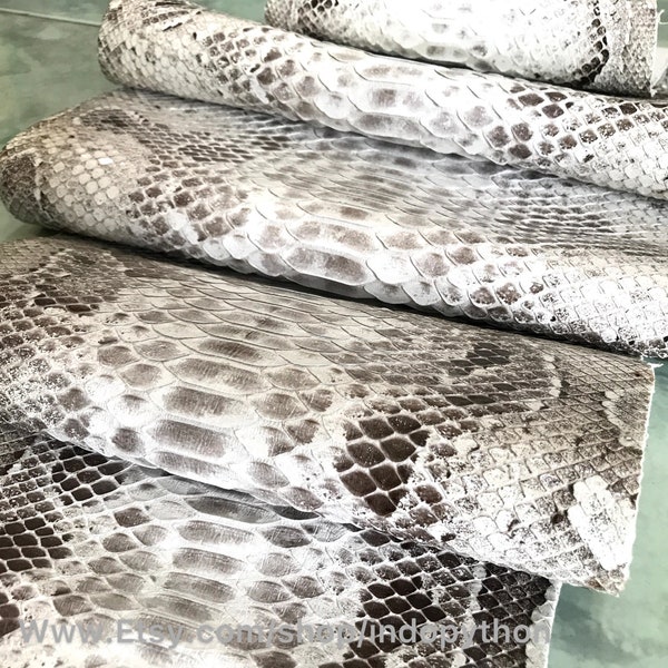 Snake Skin Pants - Etsy