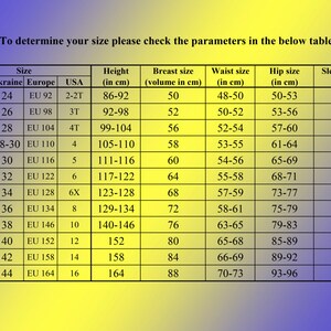 SALE!!! Vyshyvanka Ukrainian Embroidered Blouse for Girls Ukrainian ...