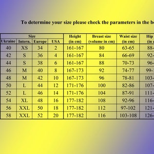 Ukrainian Costume Vyshyvanka Ukrainian Blouse and Ukrainian Skirt Women ...