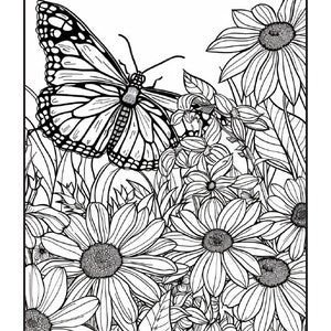 150 Butterflies and Flowers Coloring Pages - Adult and Kid Coloring ...