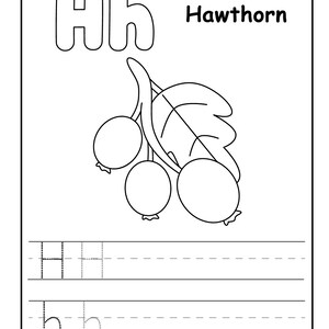 Alphabet Letter Coloring Pages 26 Pages for Kids and Adults Printable ...