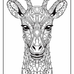 Best Selling Animal Mandalas 220 Pages Adult and Kid Coloring Pages ...