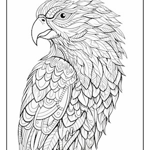Best Selling Animal Mandalas 220 Pages Adult and Kid Coloring Pages ...