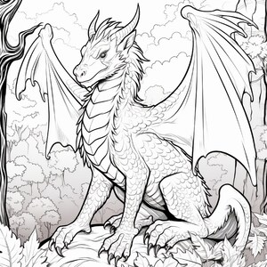 Best Seller 200 Fantasy Dragon Color Pages for Adults and Kids ...