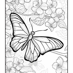 150 Butterflies and Flowers Coloring Pages - Adult and Kid Coloring ...