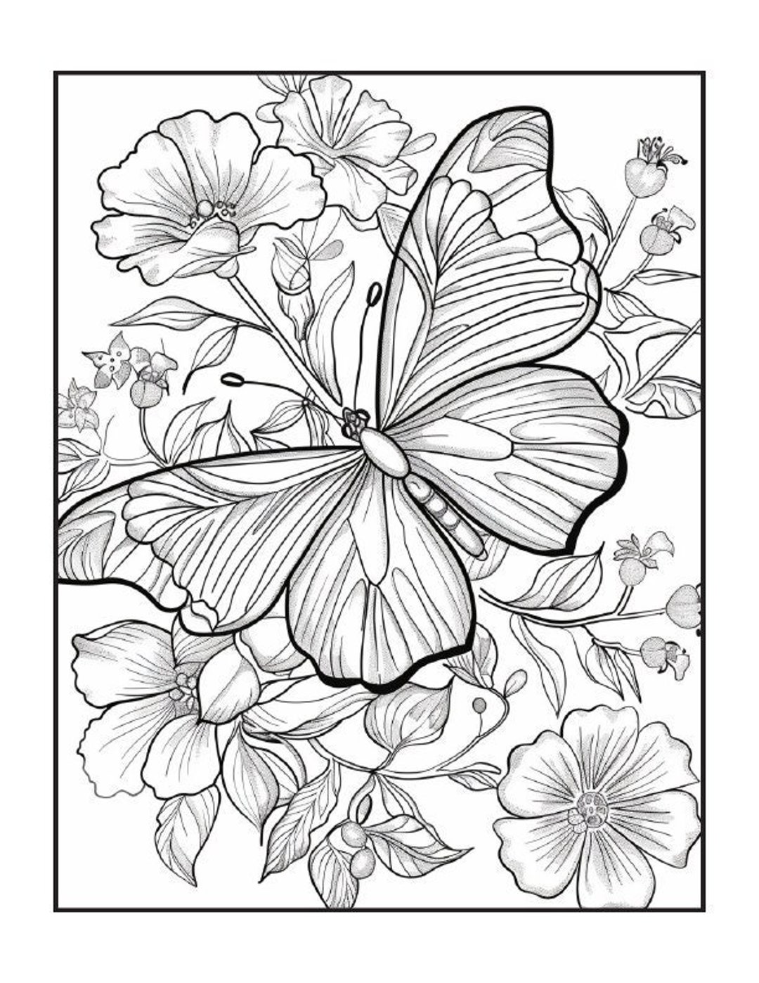 150 Butterflies and Flowers Coloring Pages - Adult and Kid Coloring ...
