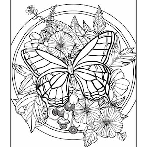 150 Butterflies and Flowers Coloring Pages - Adult and Kid Coloring ...