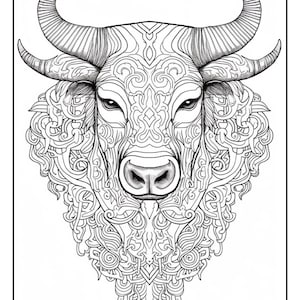 Best Selling Animal Mandalas 220 Pages Adult and Kid Coloring Pages ...