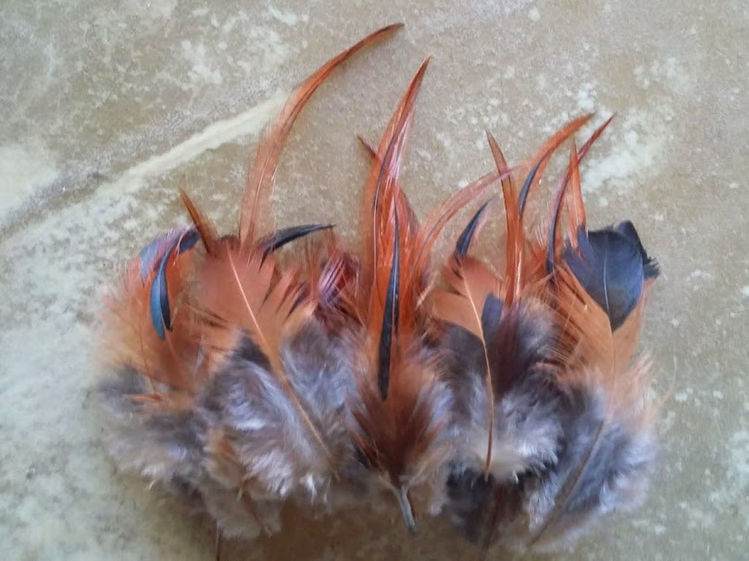 Cruelty Free Rooster Feathers, 35 Assorted, Red With Black Feathers ...