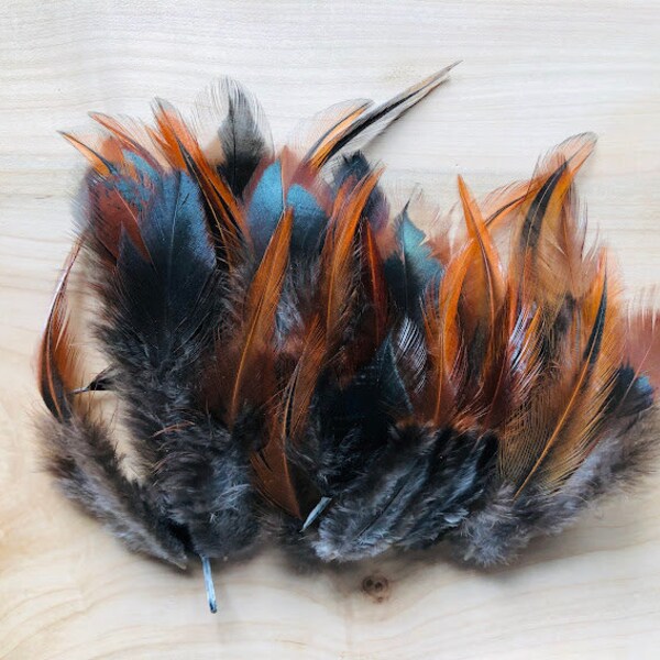 Rooster Feather - Etsy