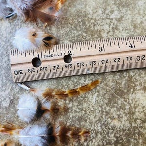 Miniature Feathers, a Bunch of Small Tiger Striped Feathers, Orange ...