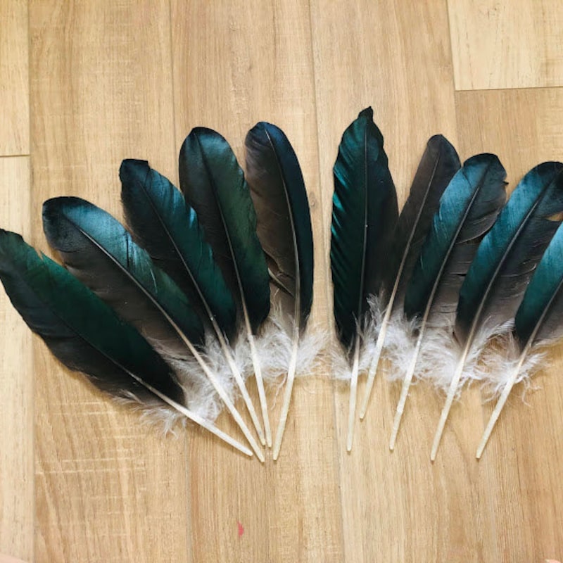 Large Feathers - Etsy