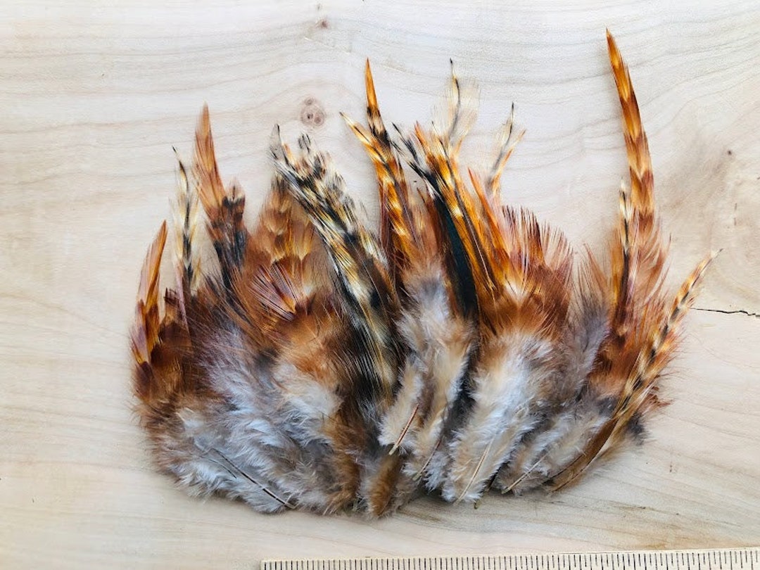 Cruelty Free Feathers - 35 Tiger Striped Reddish Orange, White and ...