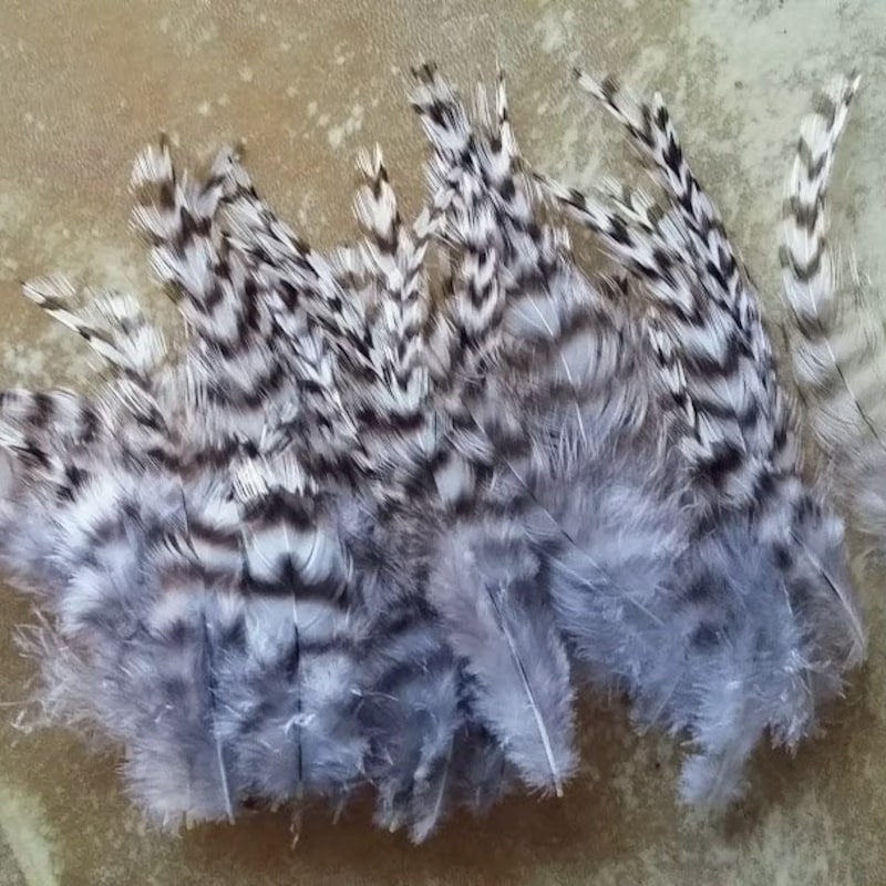 Rooster Feather - Etsy