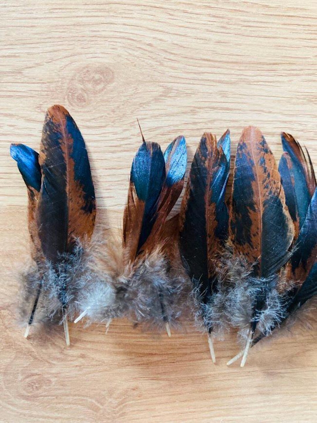 14 Red and Black Small Wing Feathers, Amazing Color! (s103) Craft ...