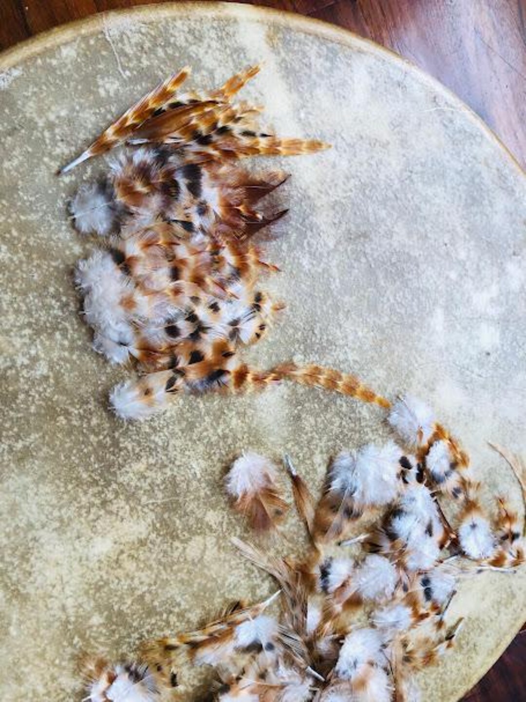 Miniature Feathers, a Bunch of Small Tiger Striped Feathers, Orange ...