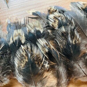 RabbitFeathers - Etsy