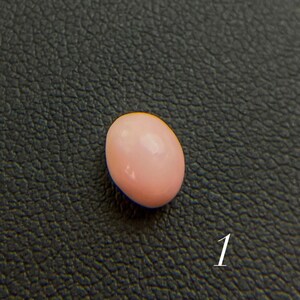 100% Natural Conch Pearls, Conch #19 - Conch 26 - Etsy