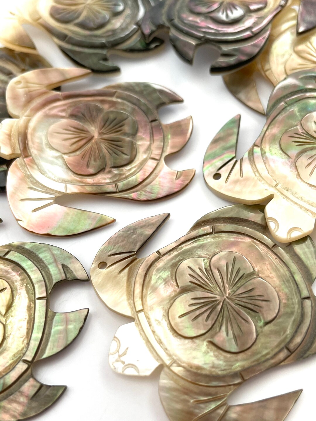 Turtle Abalone MOP, SKU# M2477 - Etsy