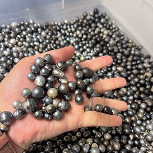 Handful of Tahitian Pearls, Black Tahiti Pearls, Tahitian Pearl, Direct ...