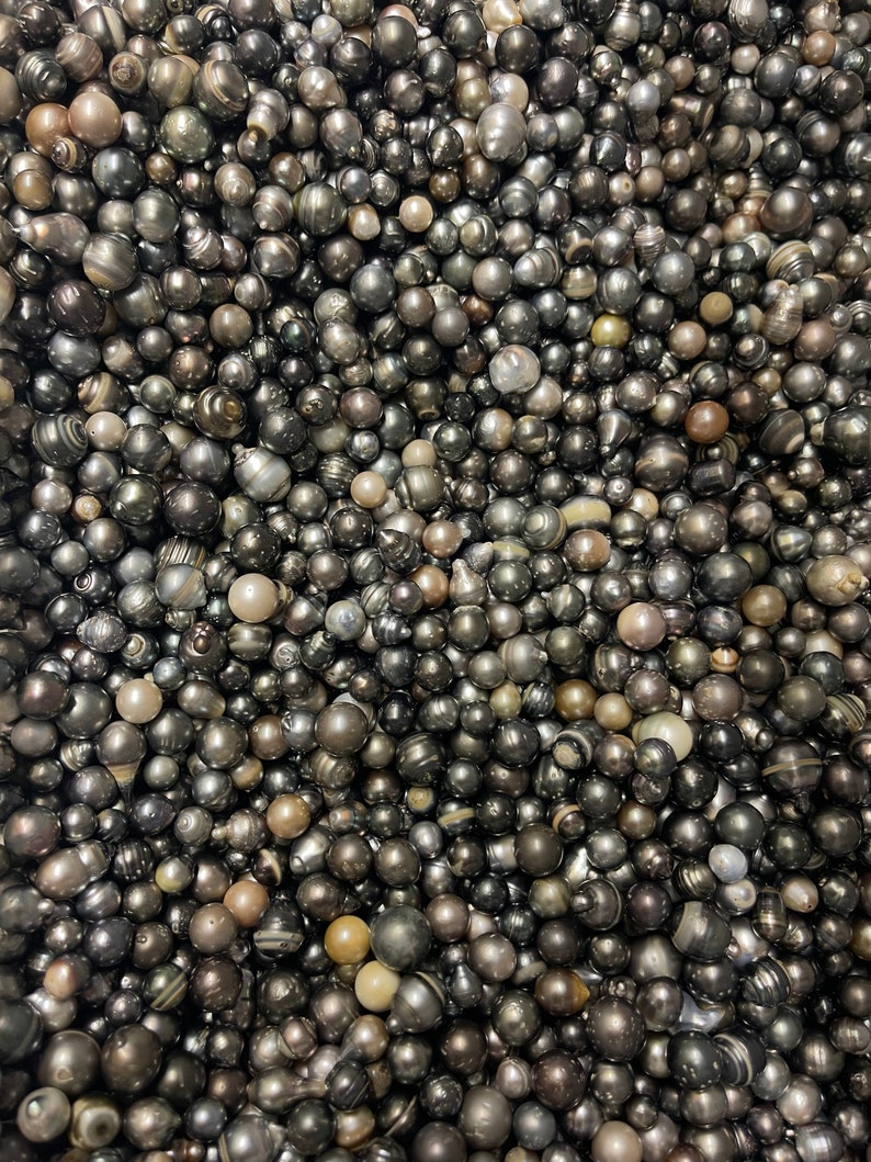 Handful of Tahitian Pearls, Black Tahiti Pearls, Tahitian Pearl, Direct ...