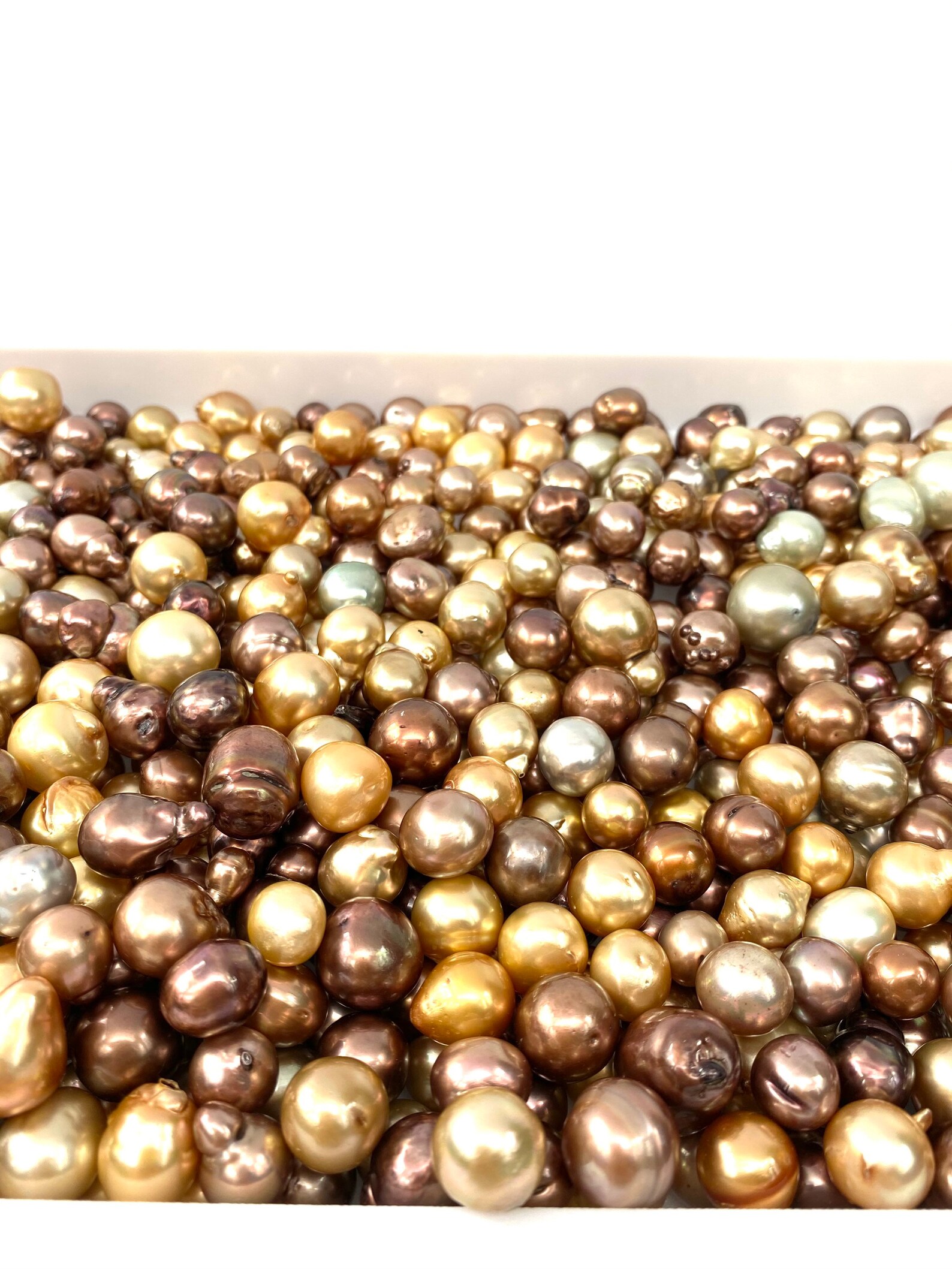 South Sea Pearls, AA1 Quality, Beautiful 10mm - 17mm Chocolate & Golden ...