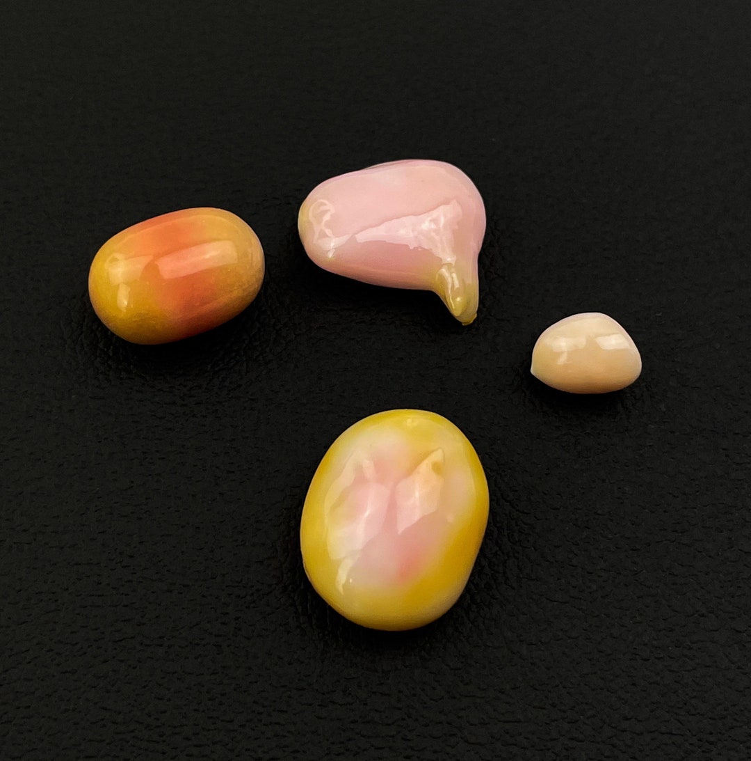 Natural Conch Pearl, Conch 15 - Conch 18 - Etsy