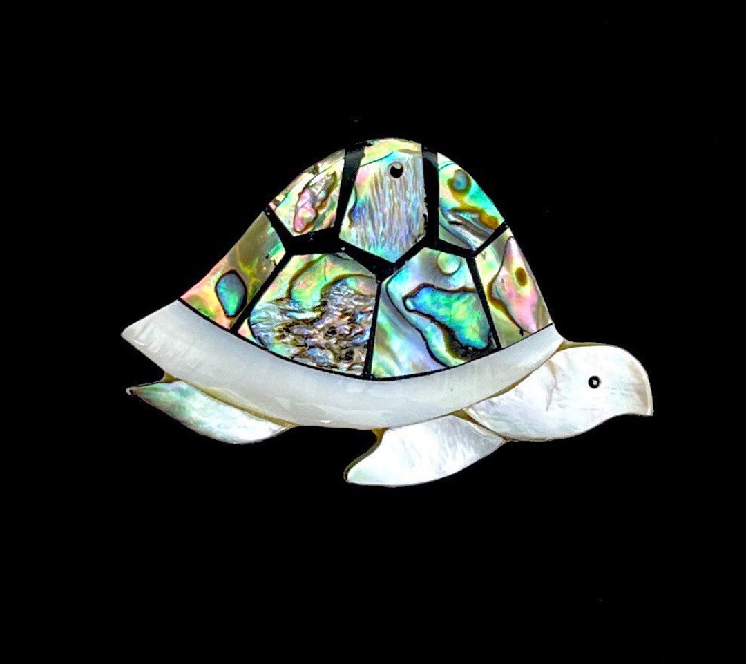 Abalone Turtle, Sku#M801 - Etsy Österreich