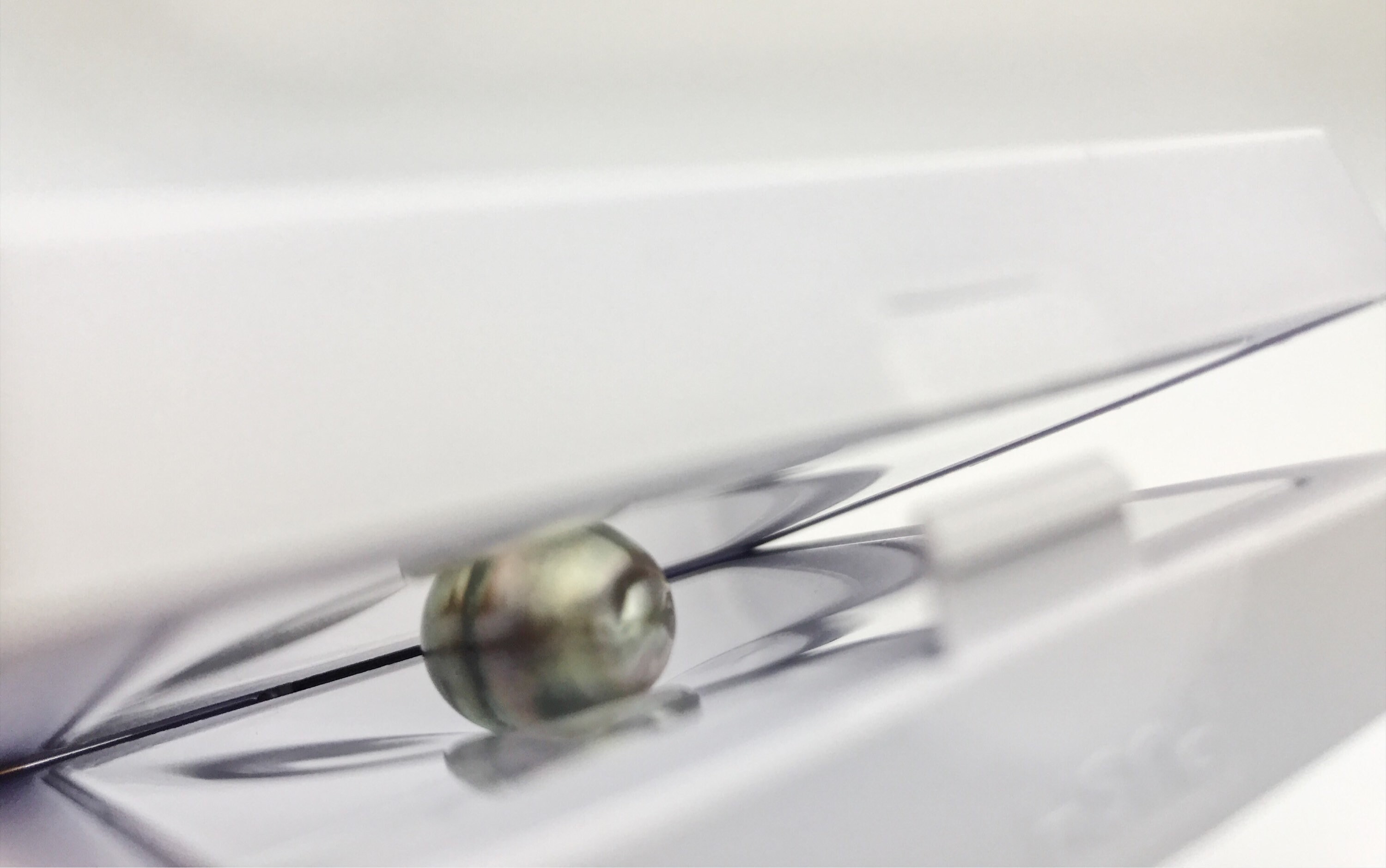 Pearl & Gem Display Individual Display Wholesale QTY - Etsy