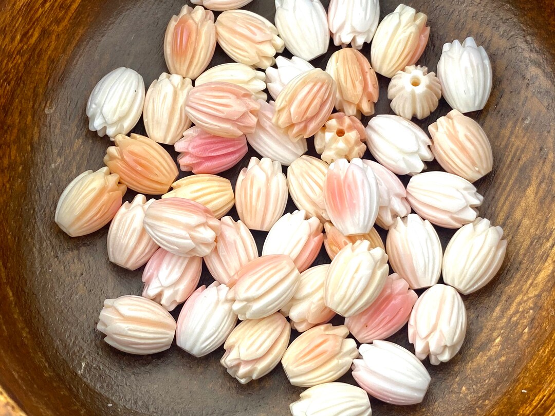 Pikake, Conch Shell, Pikake Beads, 100% Natural Colors, Sku#m24 - Etsy