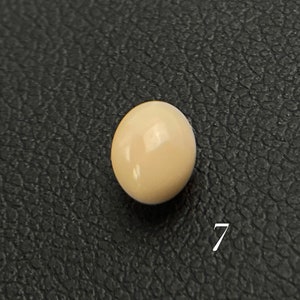 100% Natural Conch Pearls, Conch #19 - Conch 26 - Etsy