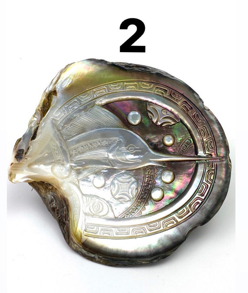 Tahitian Carved Marlin Lip Oyster Shell 100% Natural Color | Etsy