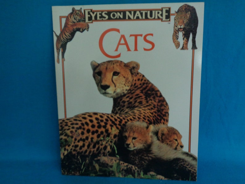 1994 Eyes on Nature Cats Book by Jane P. Resnick - Etsy