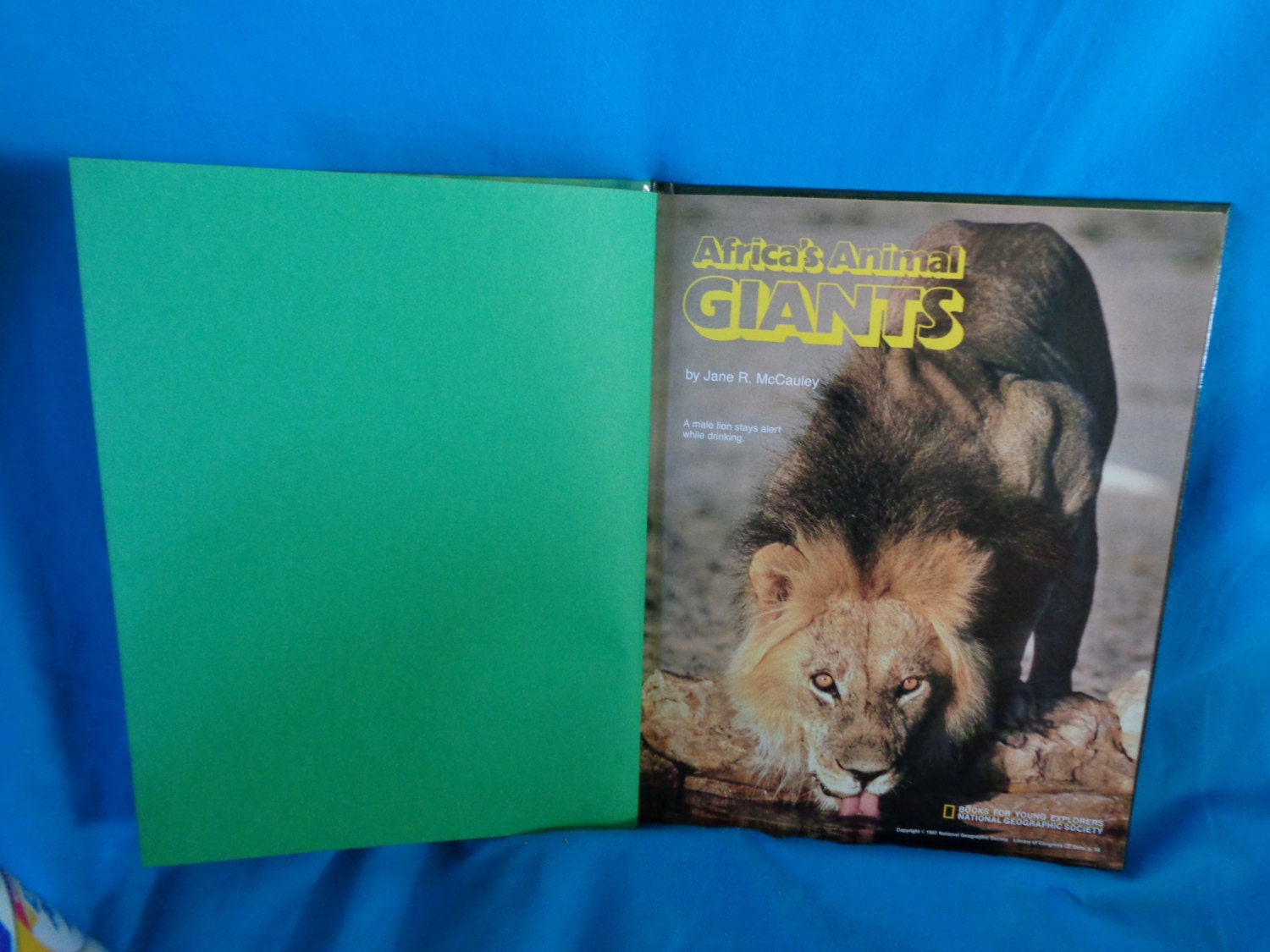 Vintage 1987 Africa's Animal Giants Book by Jane R. Mccauley Books for ...