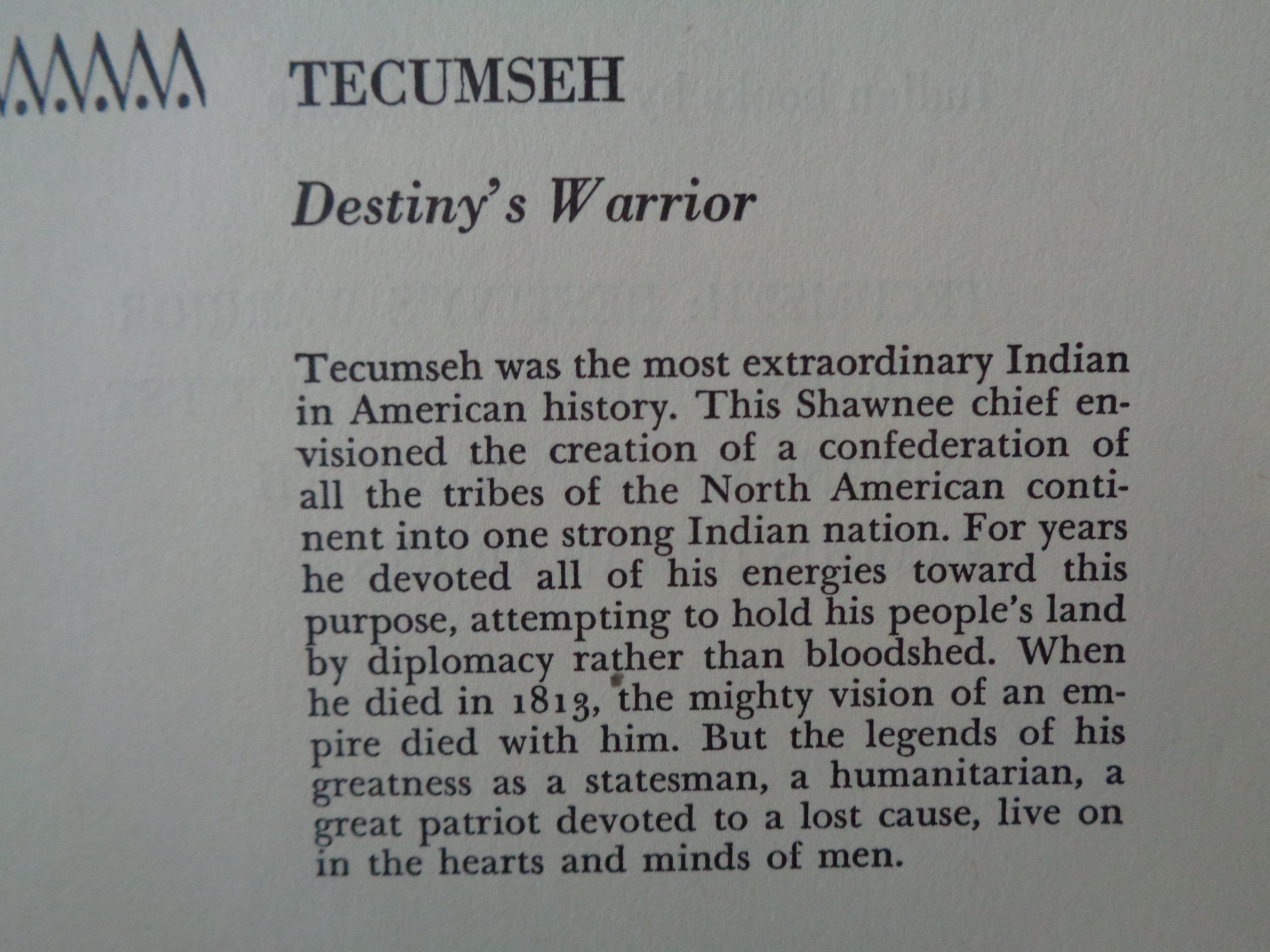 Vintage 1959 Tecumseh Destiny's Warrior Ex-library Book by - Etsy