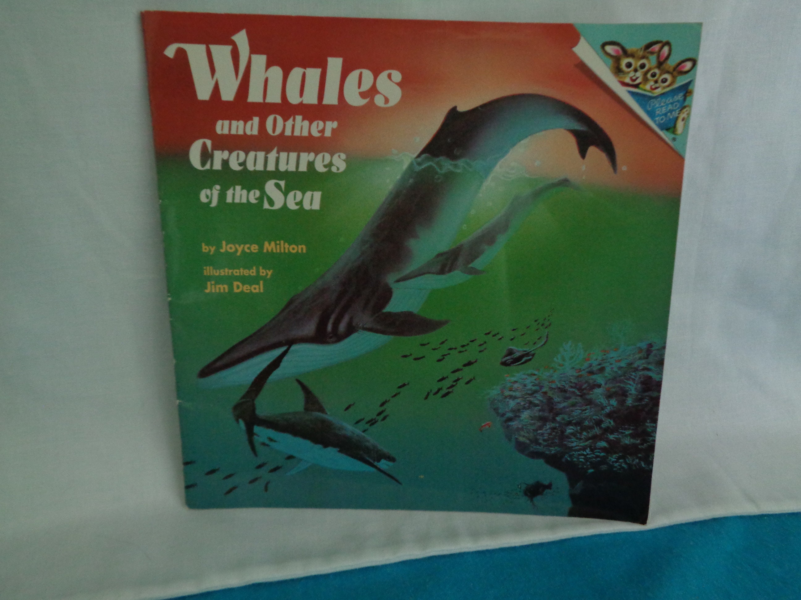 1993 Whales and Other Creatures of the Sea Book by Joyce - Etsy