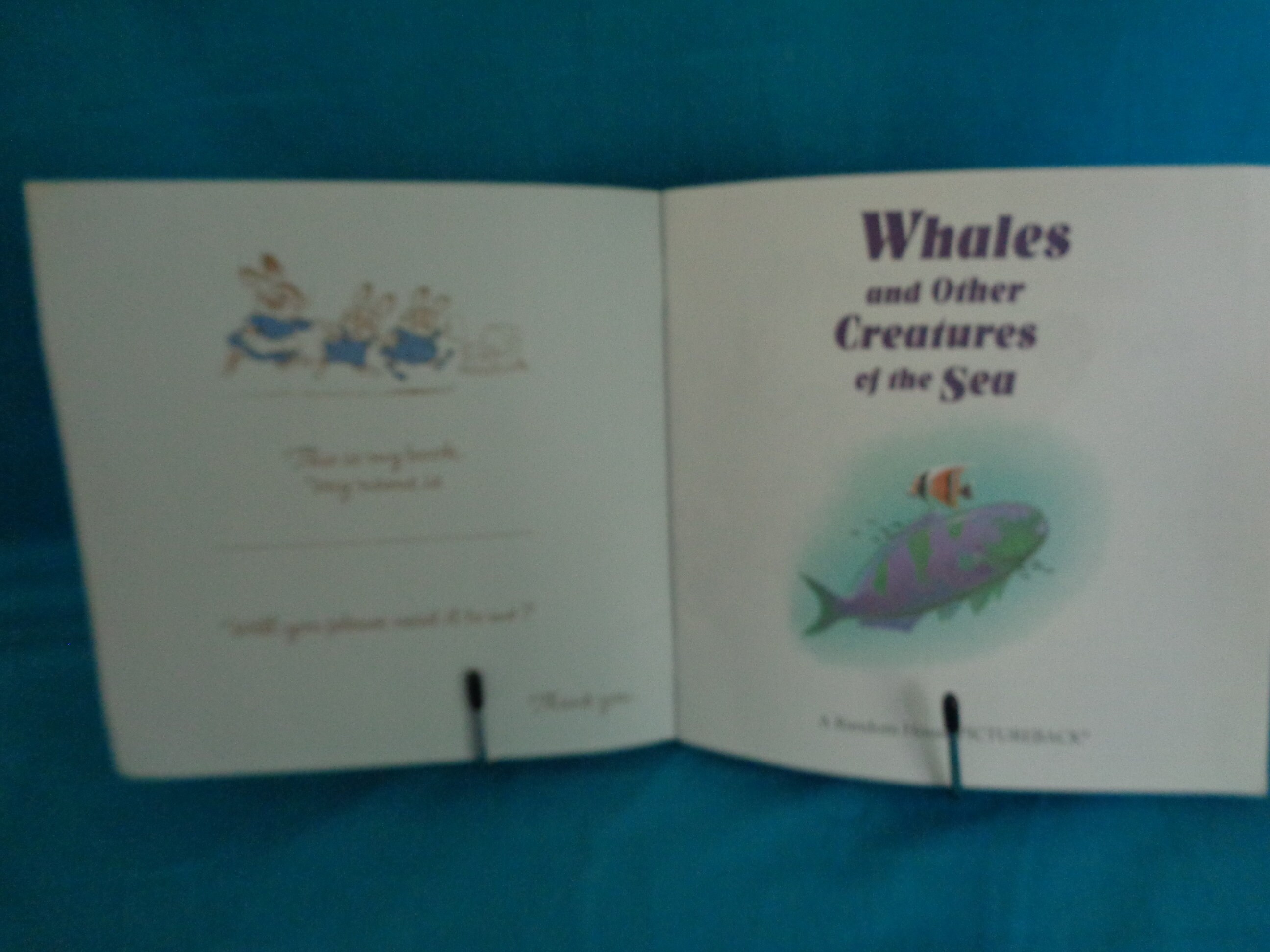 1993 Whales and Other Creatures of the Sea Book by Joyce - Etsy