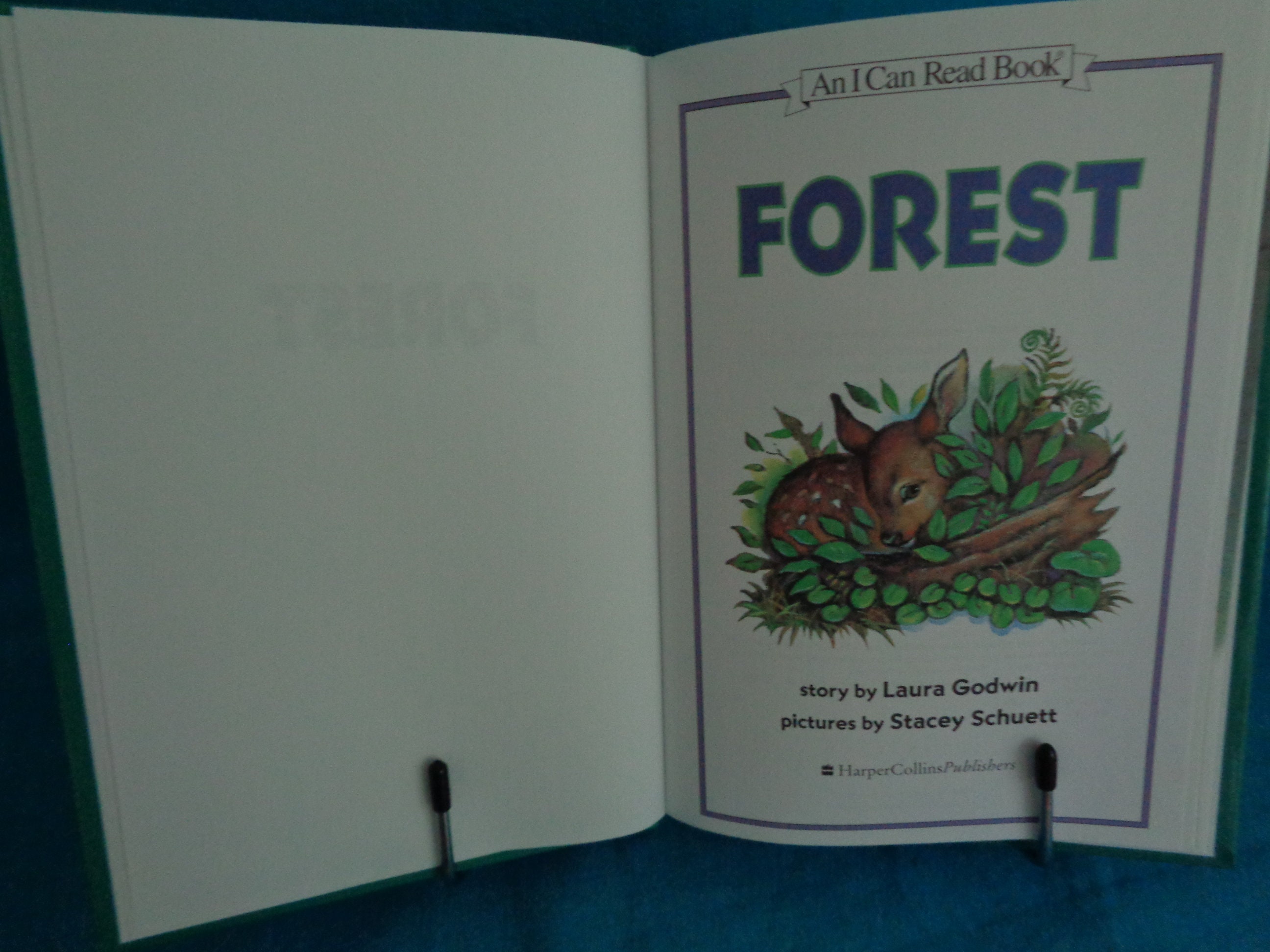 1998 Forest Book by Laura Godwin an I Can Read Book - Etsy
