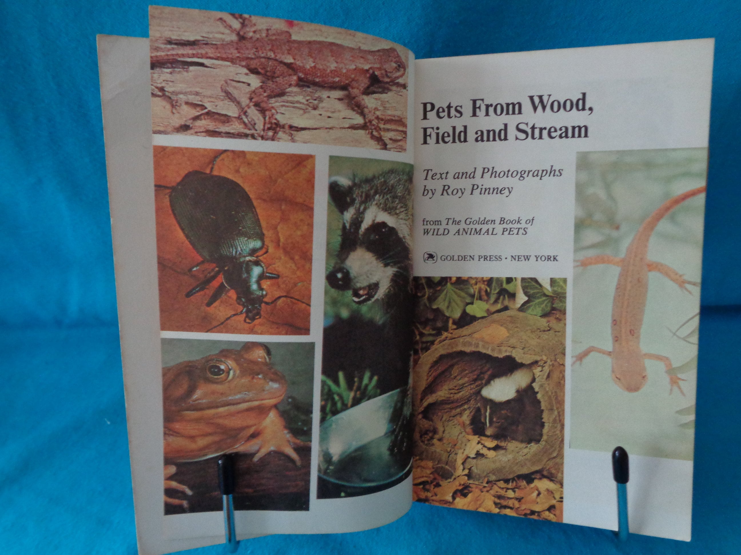 Vintage 1969 Pets From Wood Field and Stream A Golden Book by Roy ...