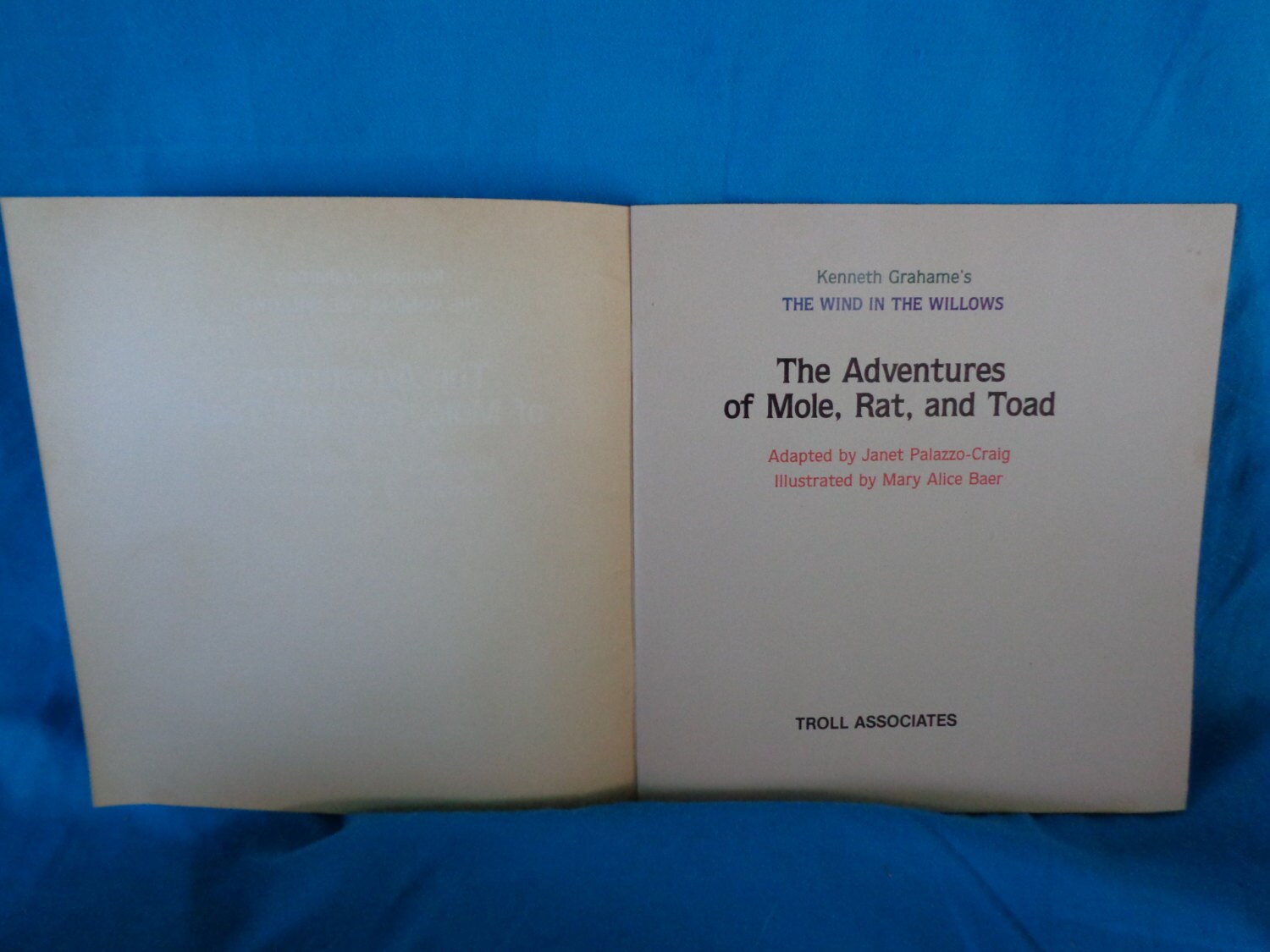 Vintage 1982 the Adventures of Mole Rat and Toad kenneth - Etsy