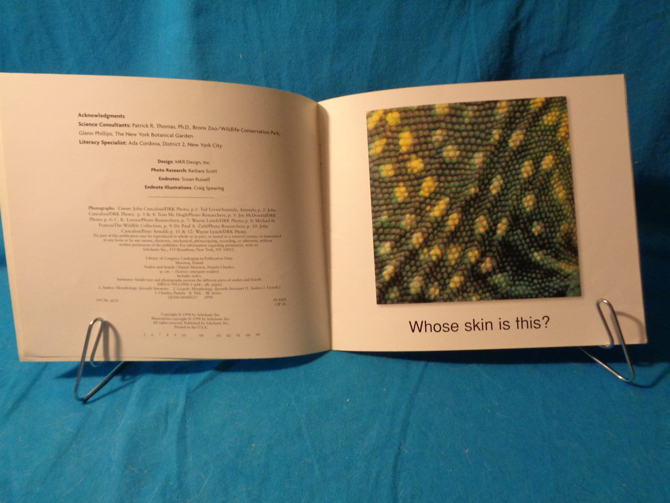 Vintage 1998 Snakes and Lizards Book by Daniel Moreton and Pamela ...