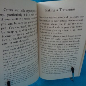 Vintage 1969 Pets From Wood Field and Stream A Golden Book by Roy ...