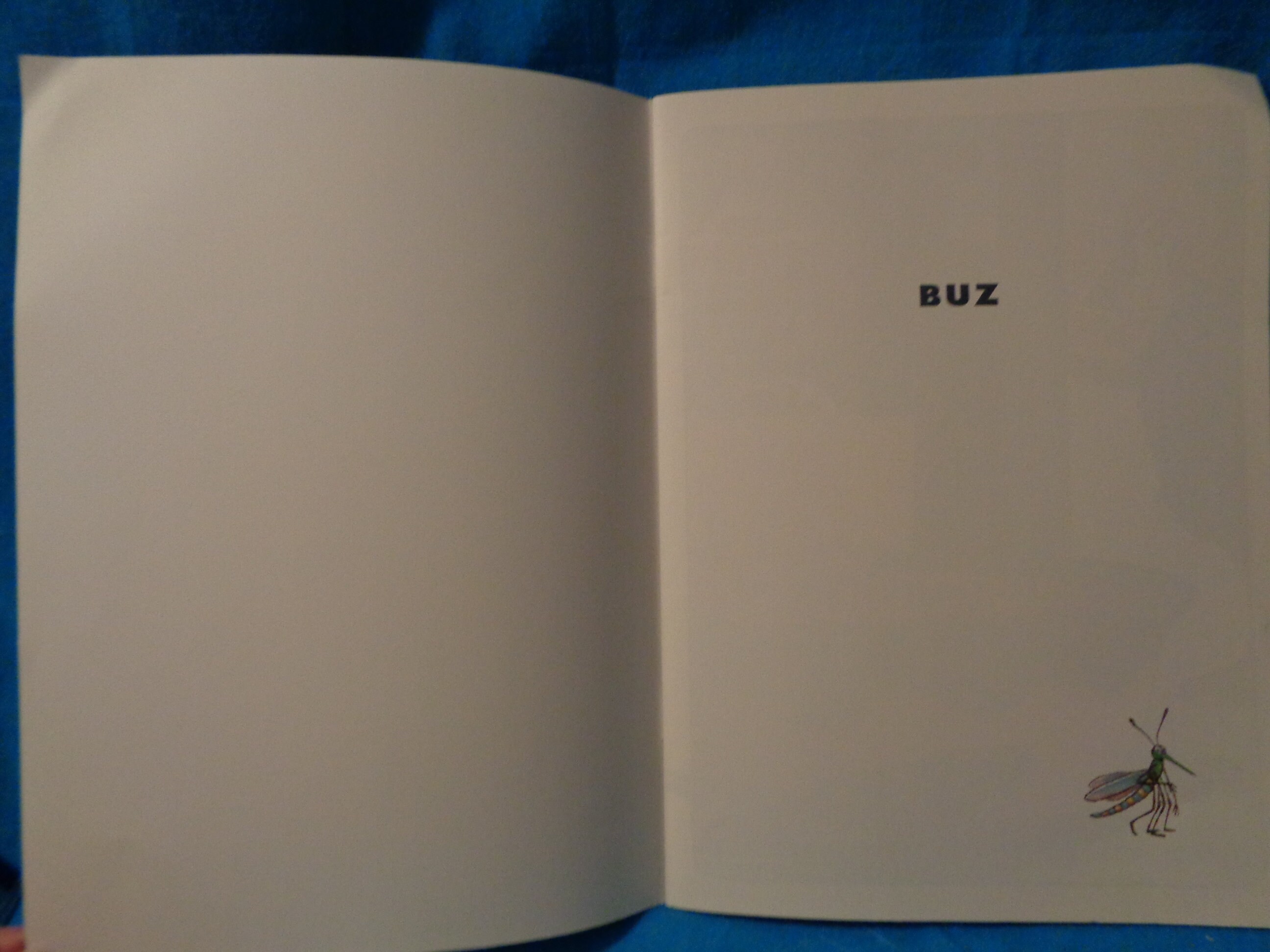 Vintage 1997 Buz Book by Richard Egielski - Etsy Norway