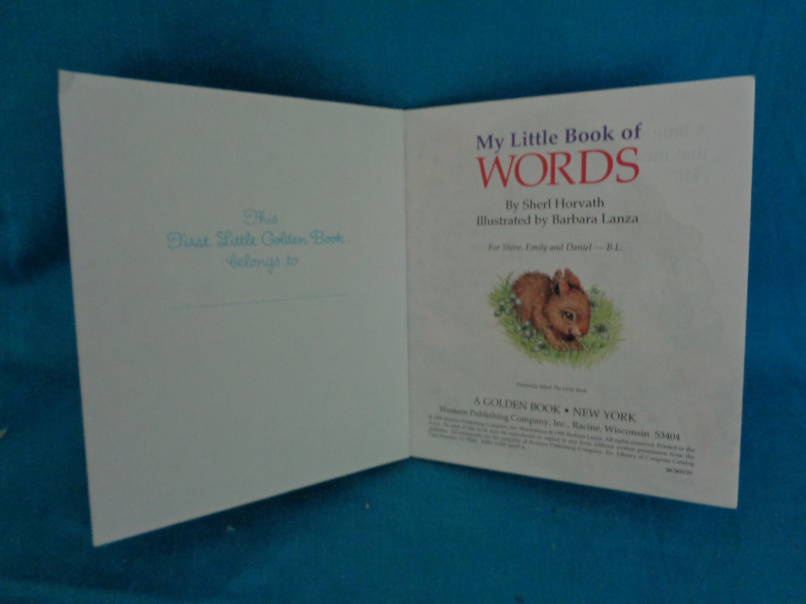 1994 My Little Book of Words a First Little Golden Book by Sherl ...