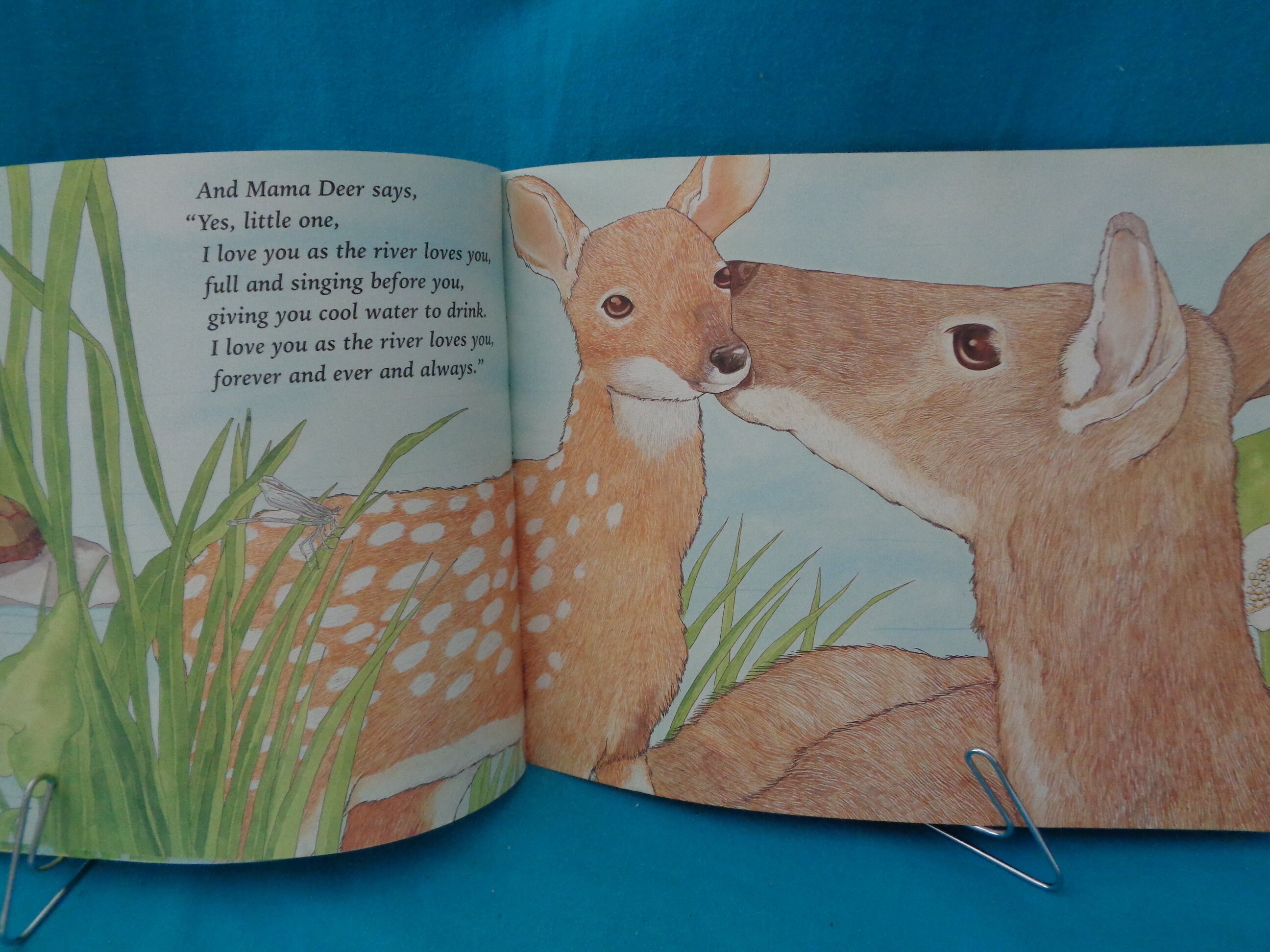 Vintage 1999 I Love You, Little One Book by Nancy Tafuri - Etsy