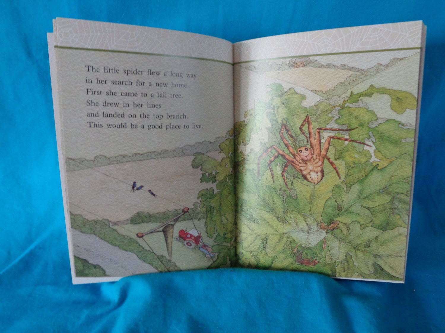 Vintage 1990 the Little Spider Book by Margaret Beames - Etsy