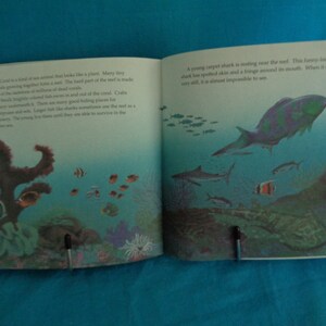 1993 Whales and Other Creatures of the Sea Book by Joyce Milton - Etsy