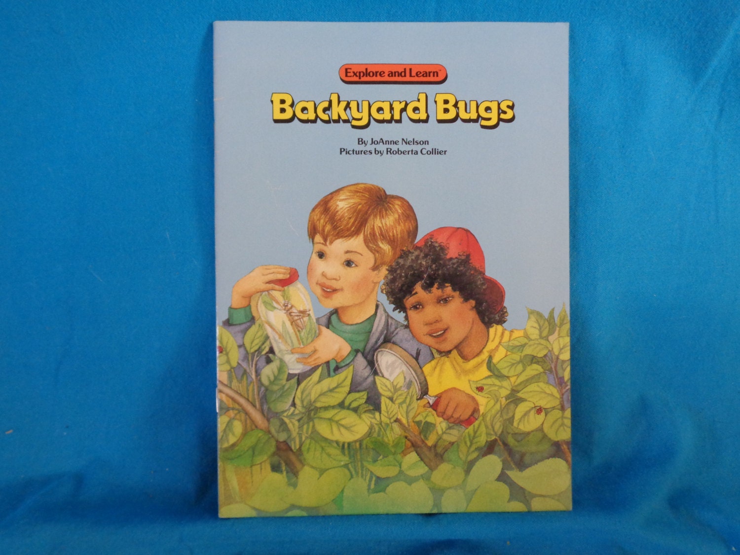 Vintage 1990 Explore and Learn Backyard Bugs Book by Joanne Nelson - Etsy