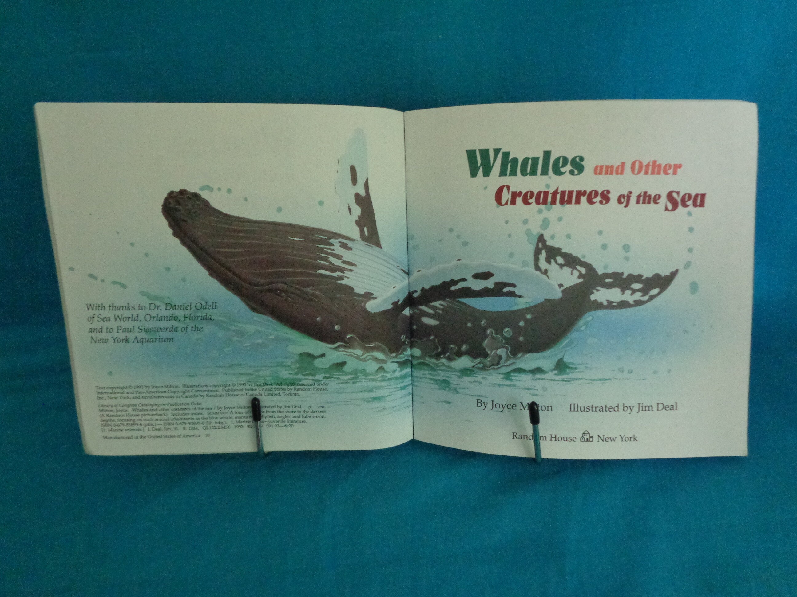 1993 Whales and Other Creatures of the Sea Book by Joyce - Etsy